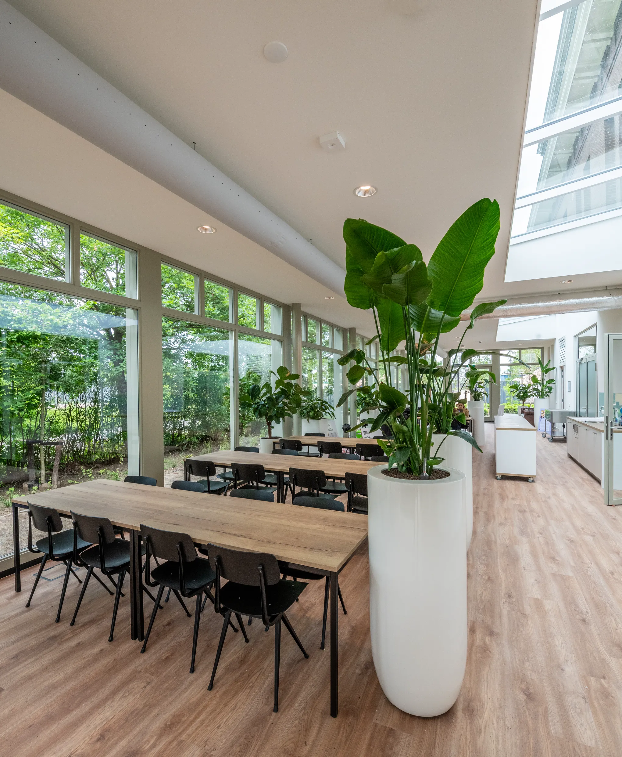 Contact Springplank maatschappelijke opvang | Locaties